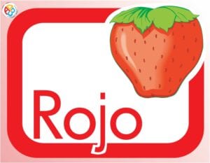 Los Colores Básicos