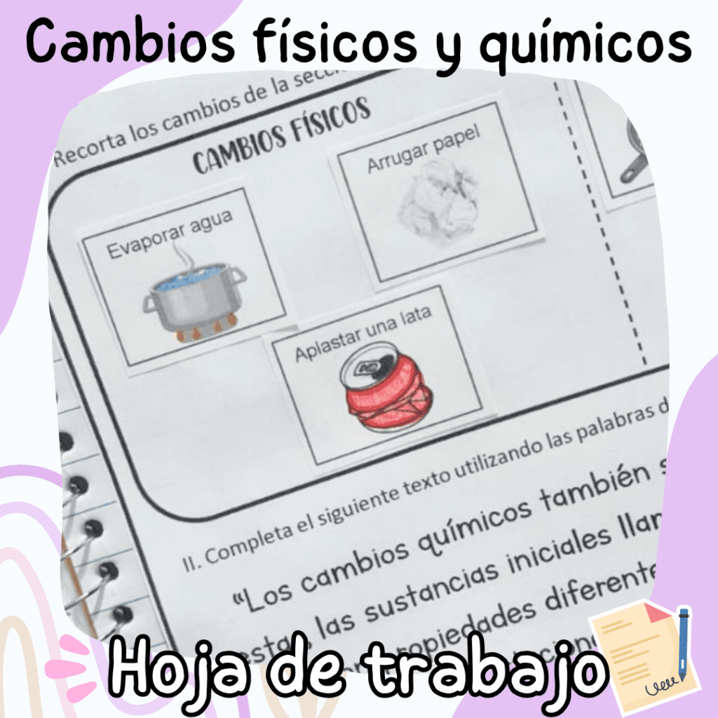 Cambios físicos y químicos hoja de trabajo