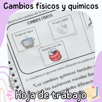 Cambios físicos y químicos hoja de trabajo