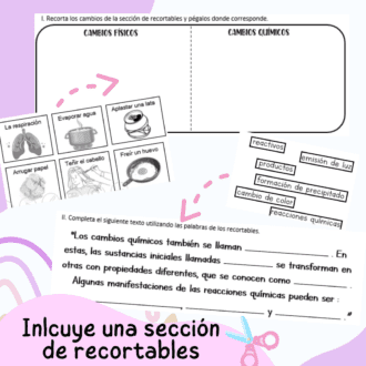 Cambios físicos y químicos hoja de trabajo