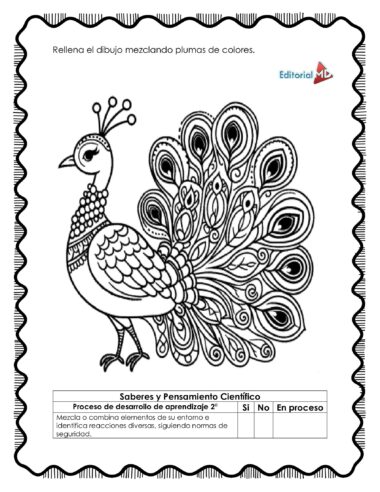 Cuadernillo de Trabajo Mezclando Colores para Preescolar