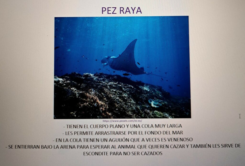 Proyecto Animales Marinos