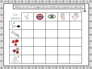 Los 5 sentidos Para Niños