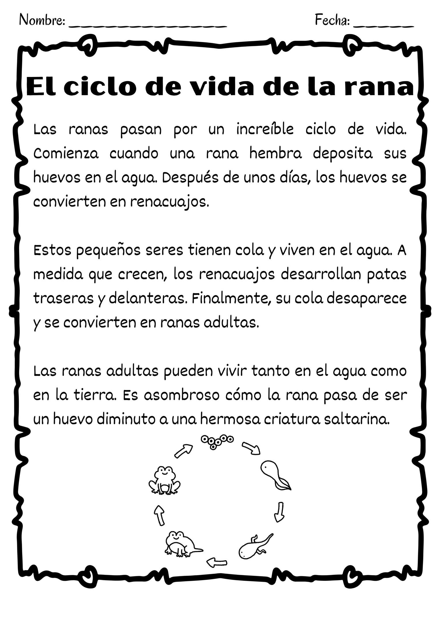 100 Lecturas de Comprensión para Primaria (con claves de respuesta)