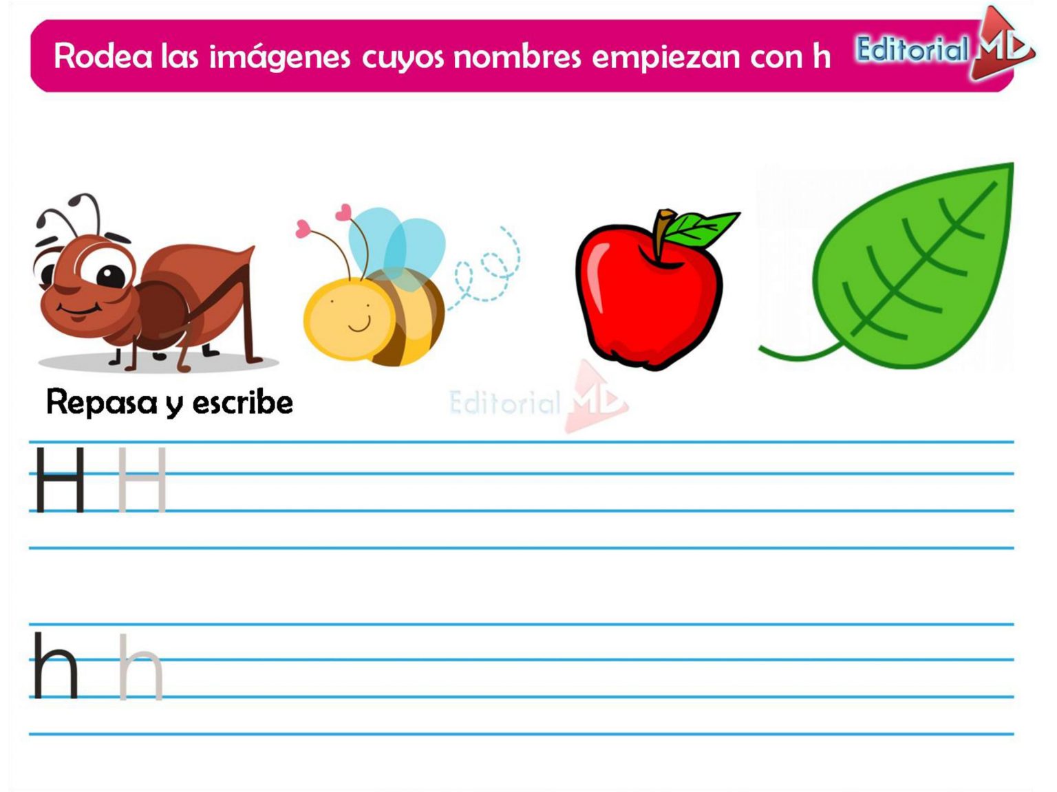 Palabras y reglas para el uso de la letra H