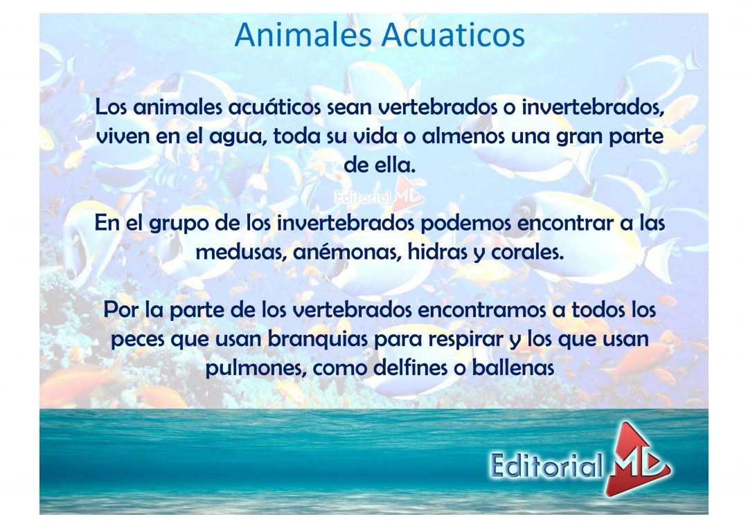 Animales Acuáticos para Niños de Primaria y Preescolar