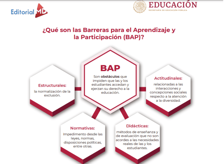 ¿Que son las Barreras para el Aprendizaje y la Participación? BAP