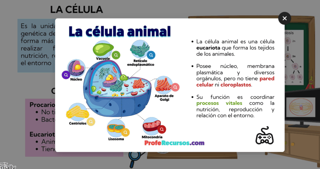 Presentación Interactiva de la Célula