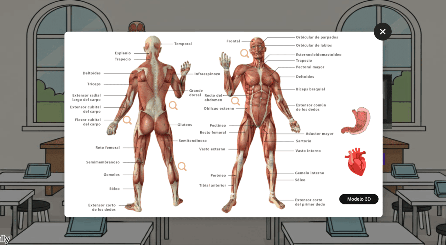 Clase Interactiva de los Sistemas del Cuerpo Humano