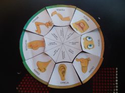 Rompecabezas para Niños de los Verbos y Vocabulario