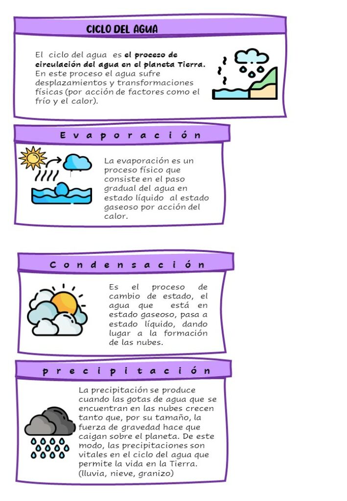 El Ciclo del Agua Para Niños