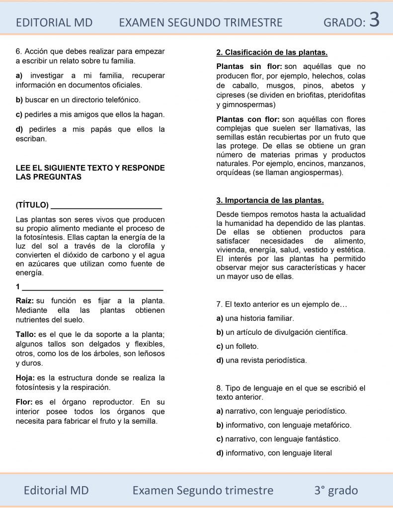 Examen Trimestral Tercer Grado de Primaria (PLAN 2017)