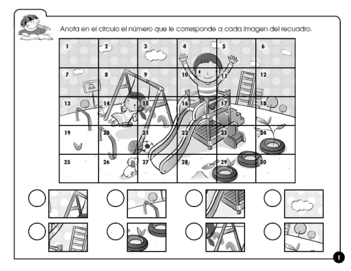 Desarrollo de habilidades y destrezas para el aprendizaje Nivel 3