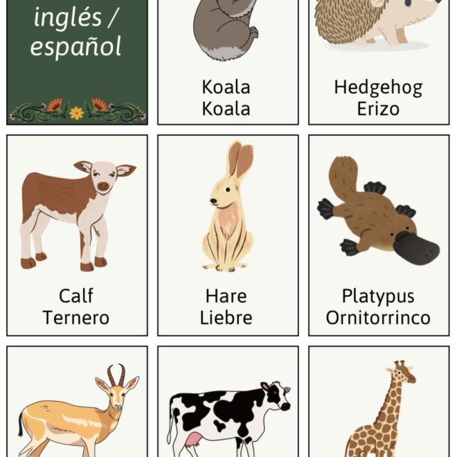 Flashcards de animales (inglés y español)