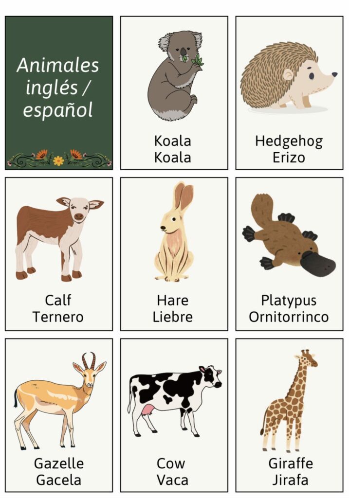 Flashcards de animales (inglés y español)