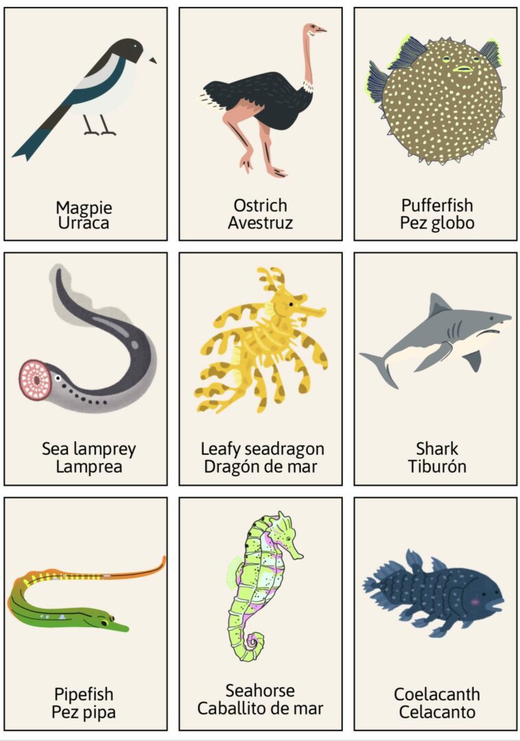 Loteria de animales en español e ingles