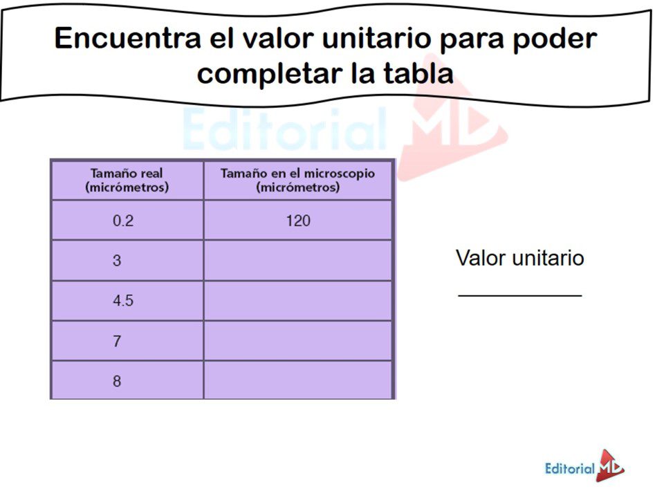 Hoja De Precios Unitarios