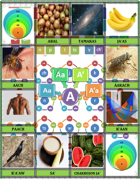 Colección de juegos didácticos en lengua maya