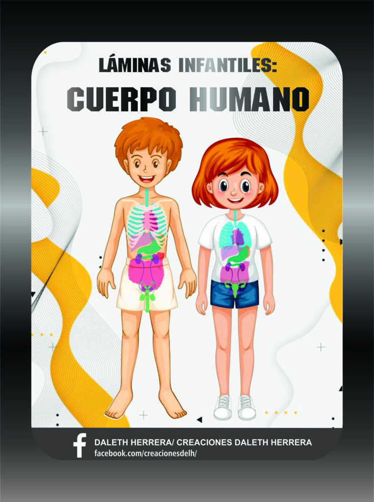 El cuerpo humano: Láminas infantiles