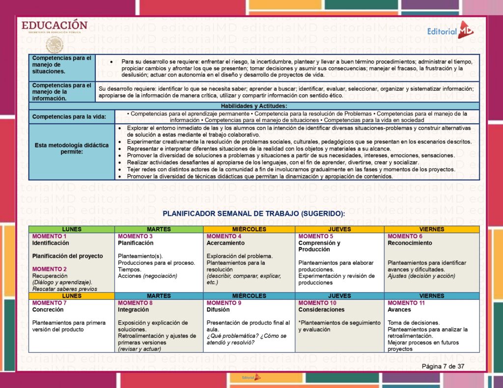 Programa Analitico Primaria NEM (Plan Analitico Contestado)