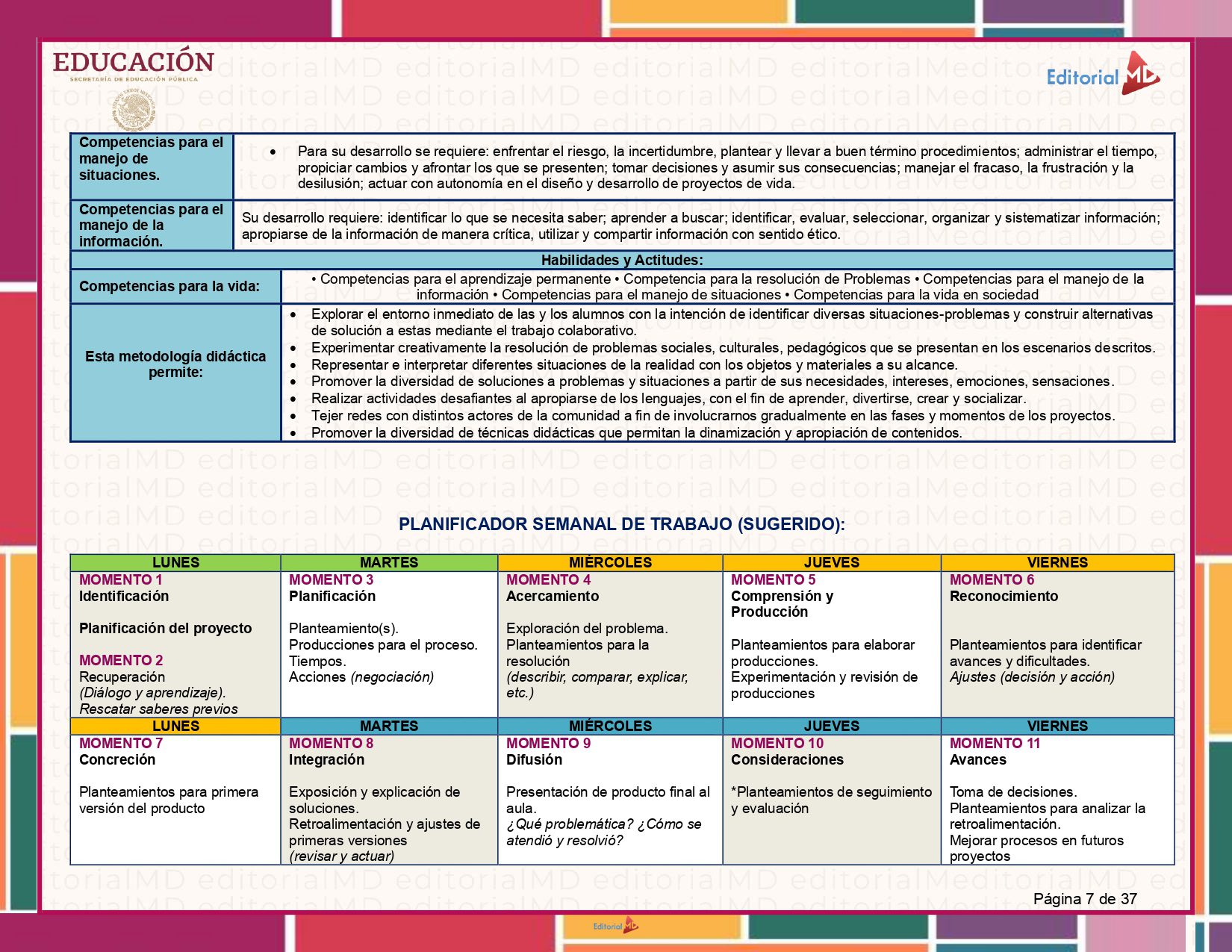 Programa Analitico Primaria NEM (Plan Analitico Contestado)