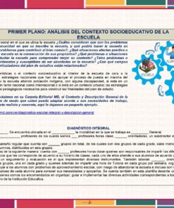 Programa Analitico Primaria NEM (Plan Analitico Contestado)