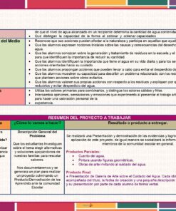 Programa Analitico Primaria NEM (Plan Analitico Contestado)