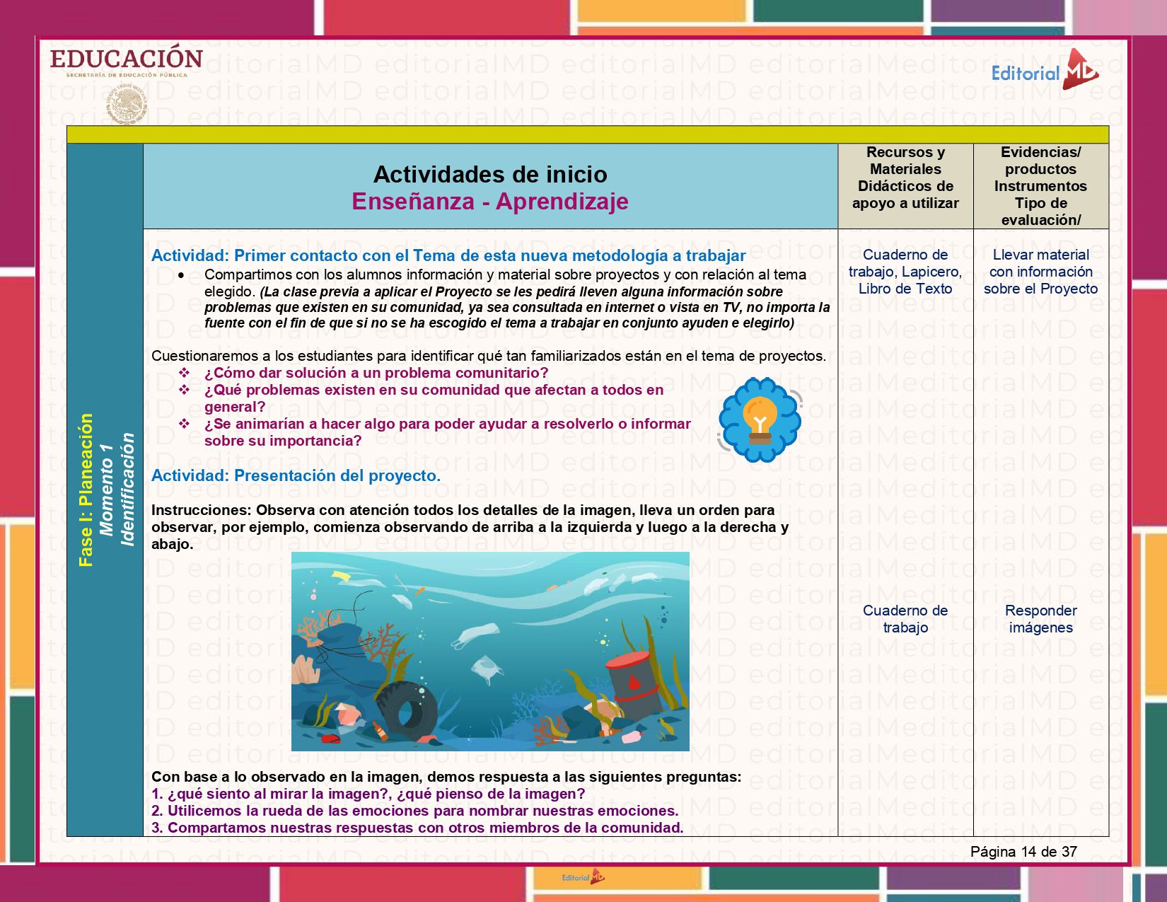 Programa Analitico Primaria NEM (Plan Analitico Contestado)