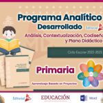 Programa Analitico Primaria NEM (Plan Analitico Contestado)