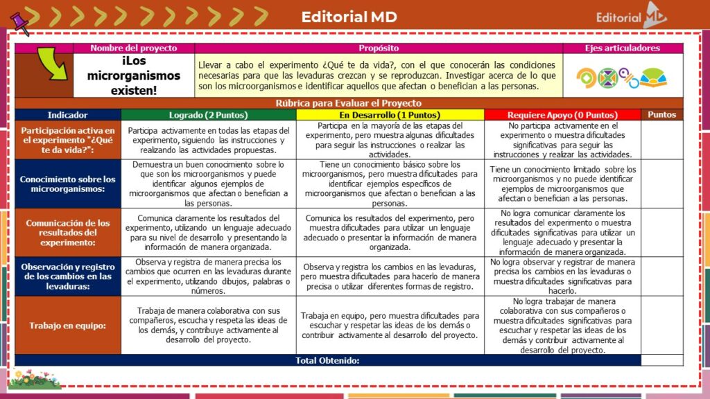 Rúbricas 1° Grado de Primaria NEM (Todos los Proyectos)