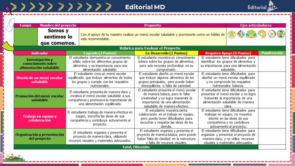 Rúbricas 1° Grado de Primaria NEM (Todos los Proyectos)
