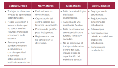 ¿Que son las Barreras para el Aprendizaje y la Participación? BAP