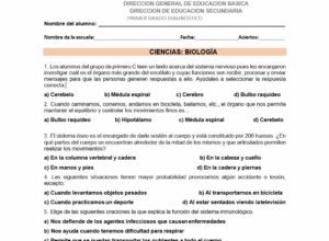 Paquete Ciencias Secundaria. Biología, Física y Química. STEAM. NEM ...