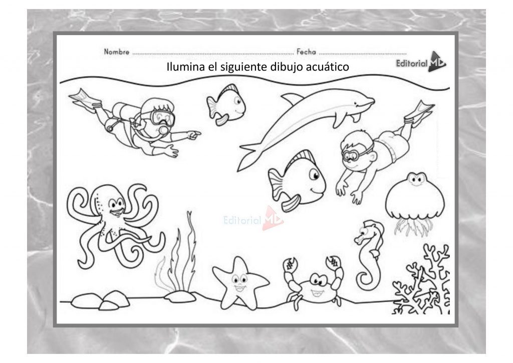 Animales Acuáticos para Niños de Primaria y Preescolar