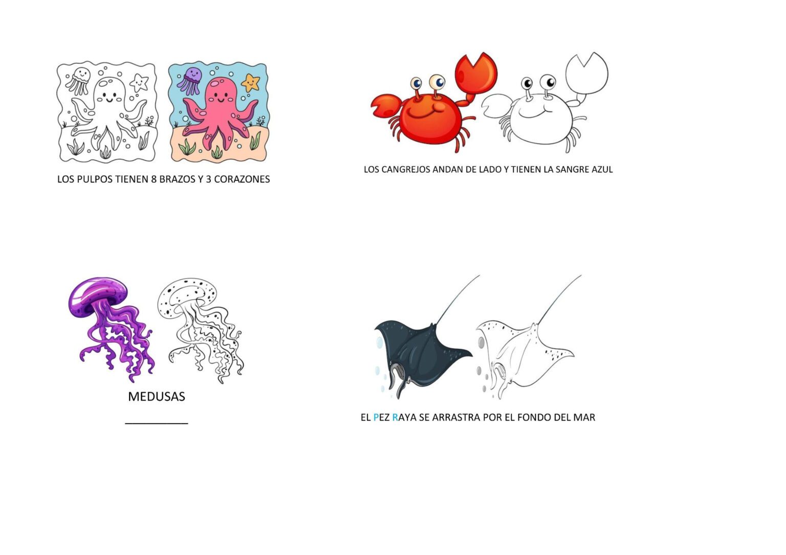 Actividades Animales Marinos colorear y lectoescritura