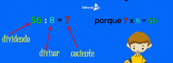 Partes de la División para niños de Primaria