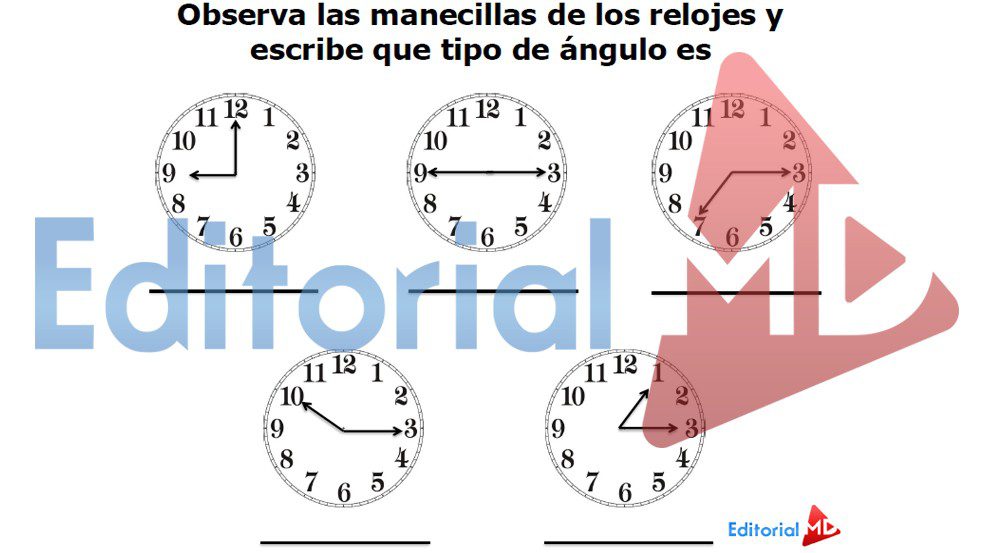 Los Angulos (Tipos de Ángulos y El Uso del Transportador)