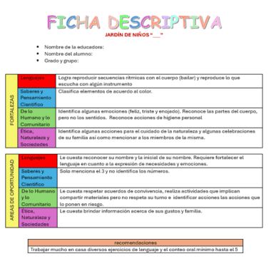 20 diversas fichas descriptivas (Primer Momento) de las evaluaciones con todos los campos ...