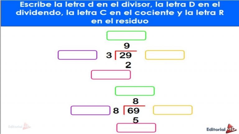 Partes de la División para niños de Primaria