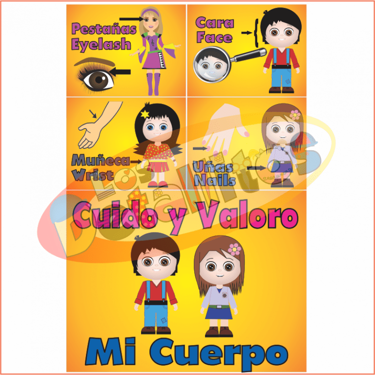 Flashcards Mi Cuerpo En Español E Inglés