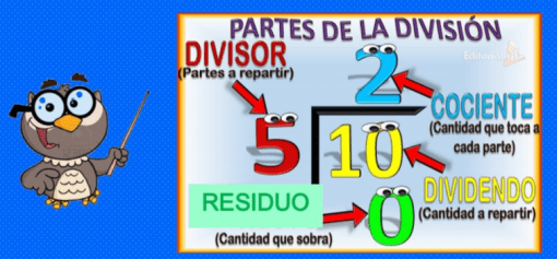 Partes de la División para niños de Primaria